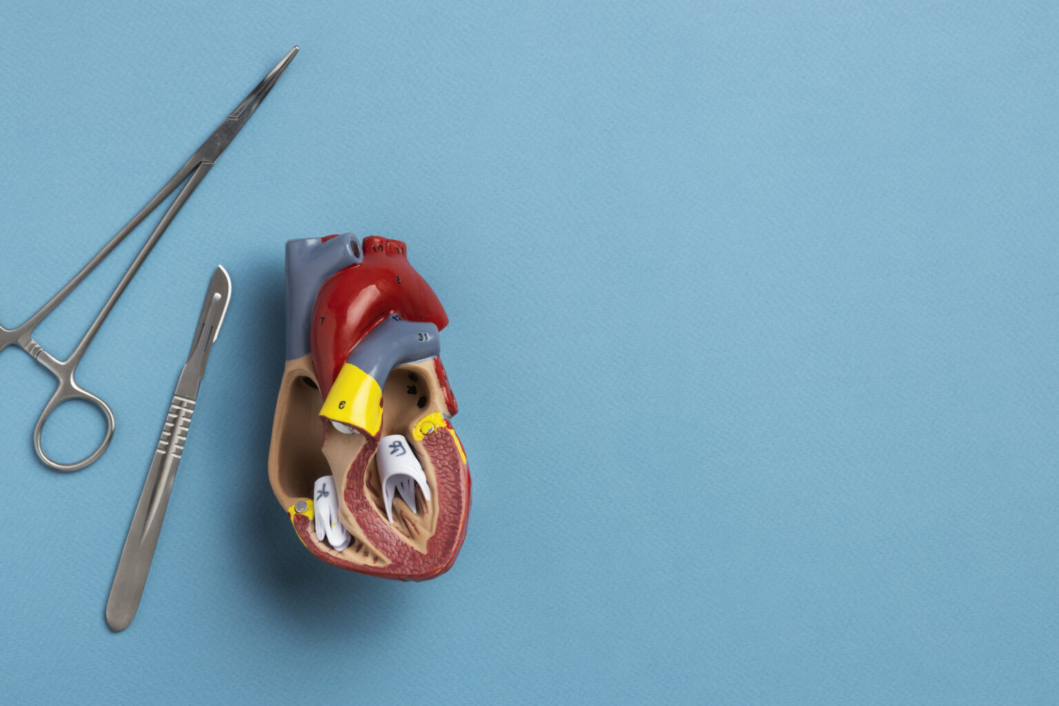Understanding TAVI: Non-Surgical Heart Valve Treatment